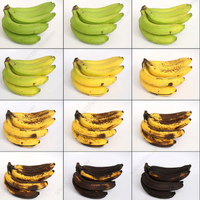 Refrigeration Cold Storage Supply & Manufacturing By Arctic